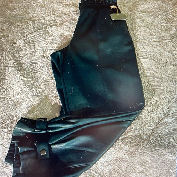 Rye Grass | Pants & Jumpsuits | Nwt Rye Grass Green Faux Leather Pants ...